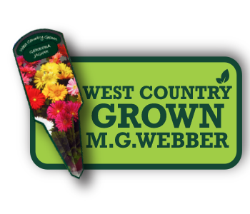 Our Bespoke Branded Labels | MG Webber West Country Grown Ltd.